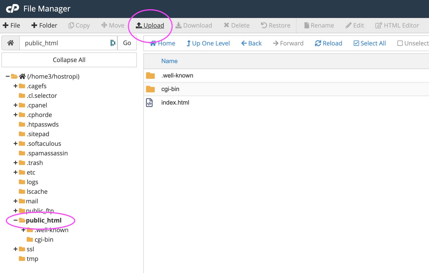 How To Edit And Upload Files Using File Manager Easy Ftp Knowledgebase Hostropics
